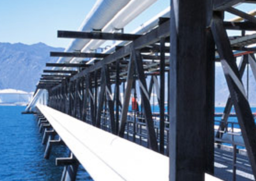 HORIZON TERMINALS L.L.C-FUJAIRAH - FUJAIRAH Group