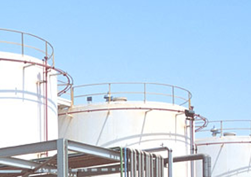 HORIZON TERMINALS L.L.C-FUJAIRAH - FUJAIRAH Group